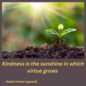 10 Kindness quotes: Nurturing children's mental health and well-being ...